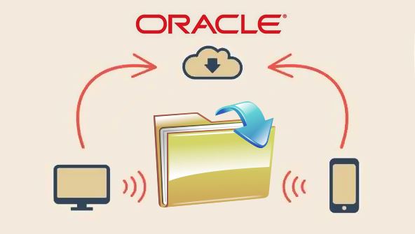 Oracle Fundamentals Online Course | Vibe Learning Oracle Fundamentals Online Course | Vibe Learning