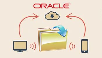 Oracle Fundamentals Online Course | Vibe Learning