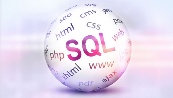 SQL Intermediate Online Course | Vibe Learning
